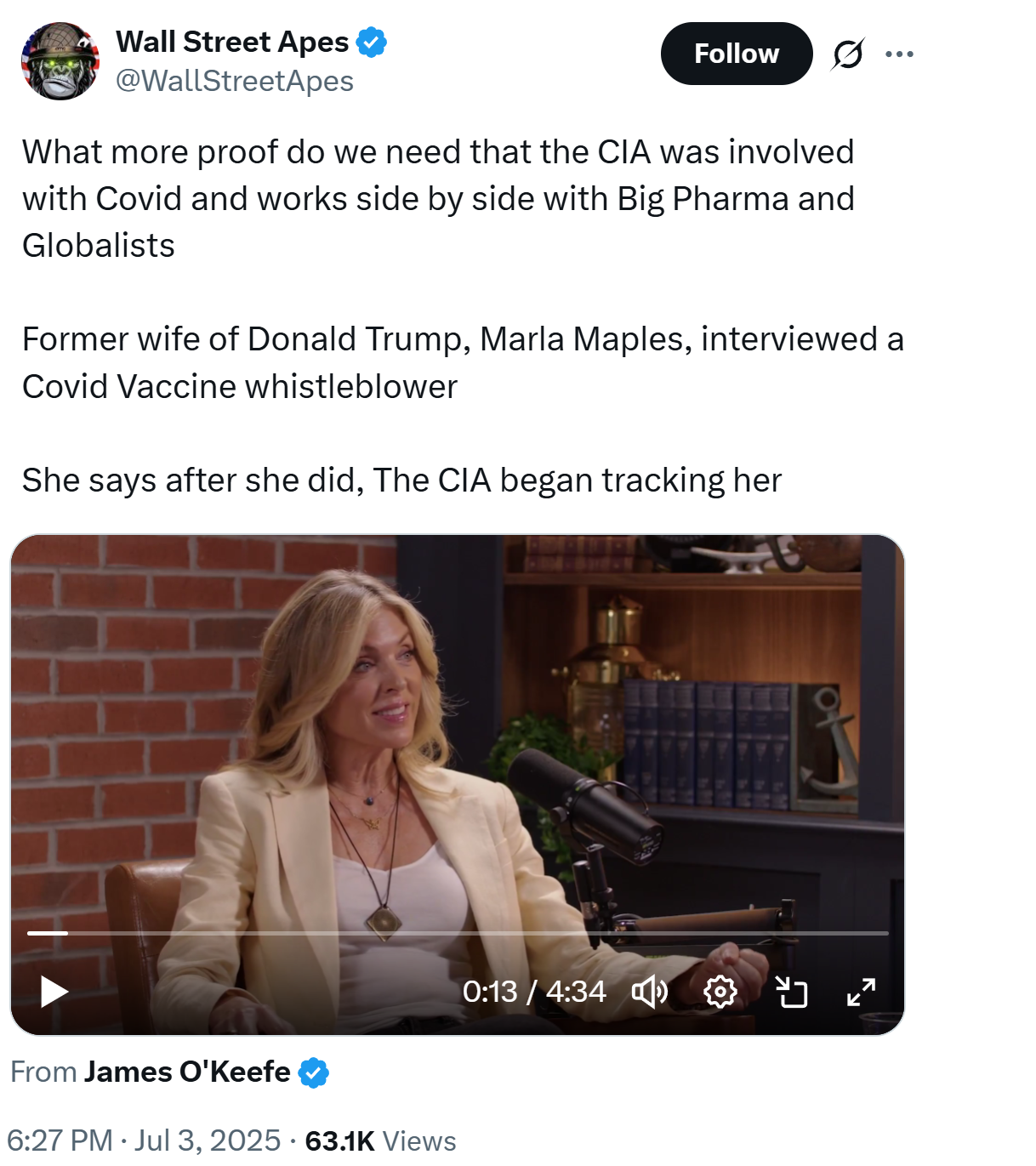 Marla Maples Is Being Followed By The CIA - American StasiAmerican Stasi